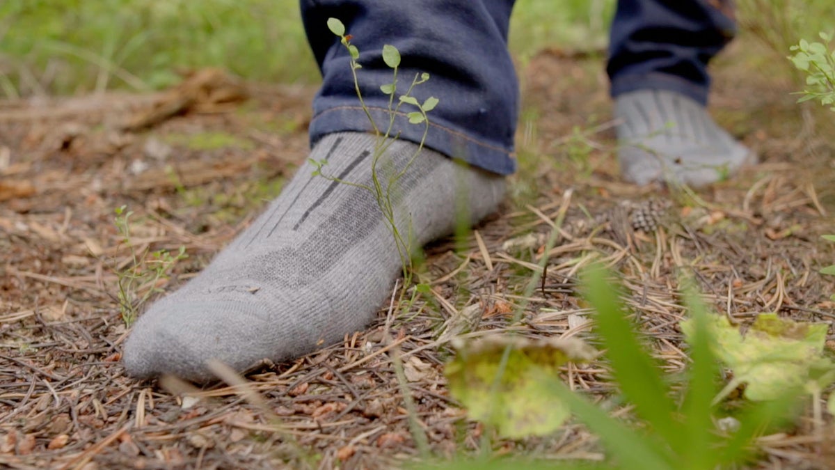 See More Wildlife and Learn the Fox Walk - Outside Online