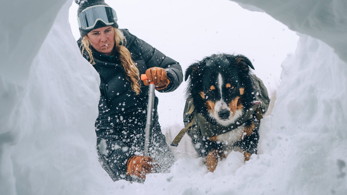The Remarkable Skills of Rescue Dogs - Outside Online