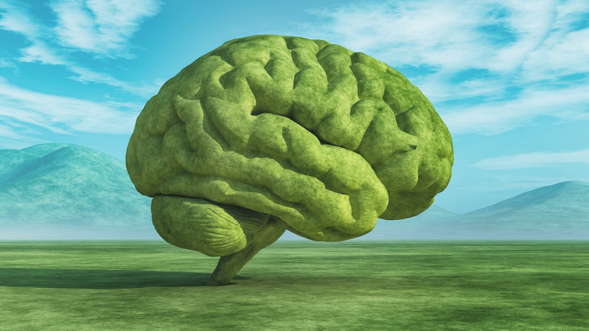 How Nature Heals an Injured Brain - Outside Online