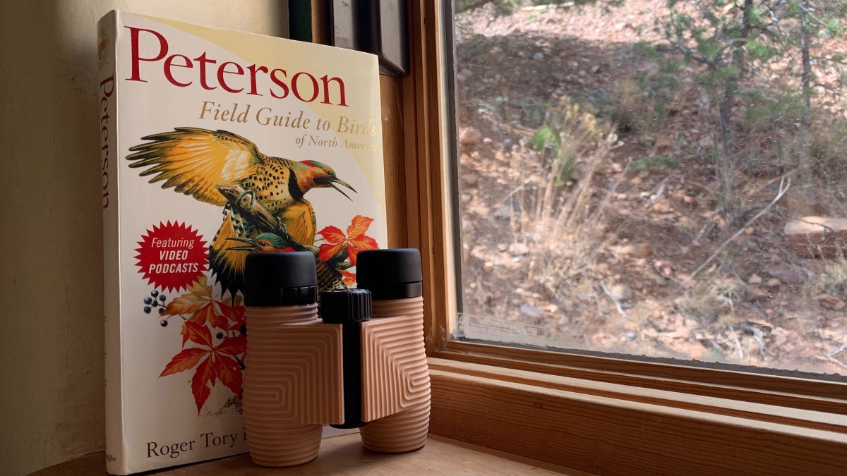 How I Became a Backyard Birdwatcher