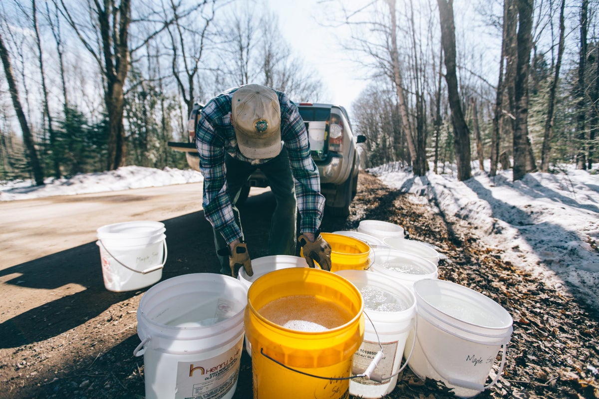 How I Spent My Quarantine Making Maple Syrup - Outside Online
