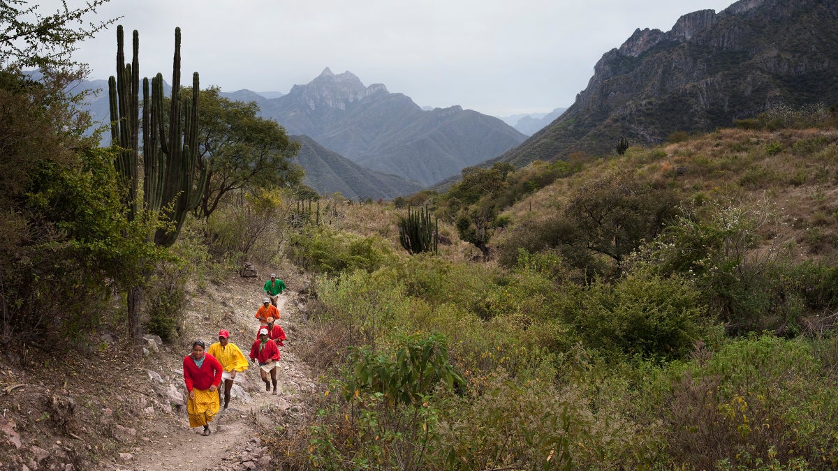 Reexamining the Mythology of the Tarahumara Runners