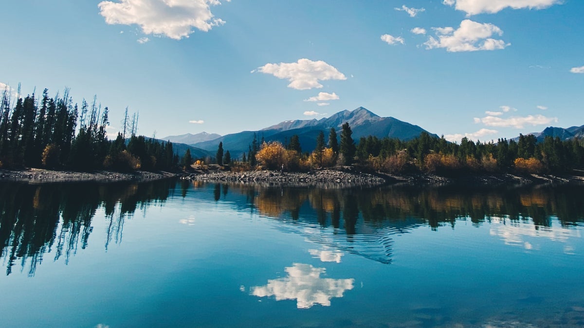 How to Vote for the Environment This Year