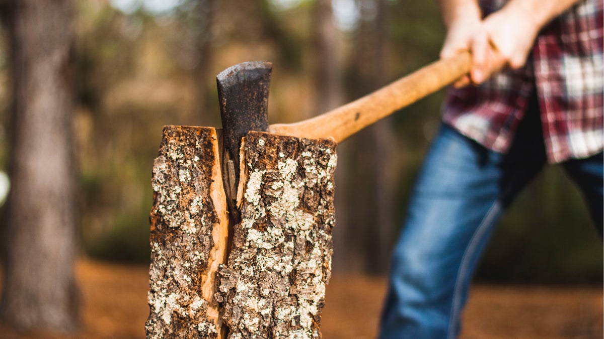 5 Axes and Hatchets We Love for Wood Chopping