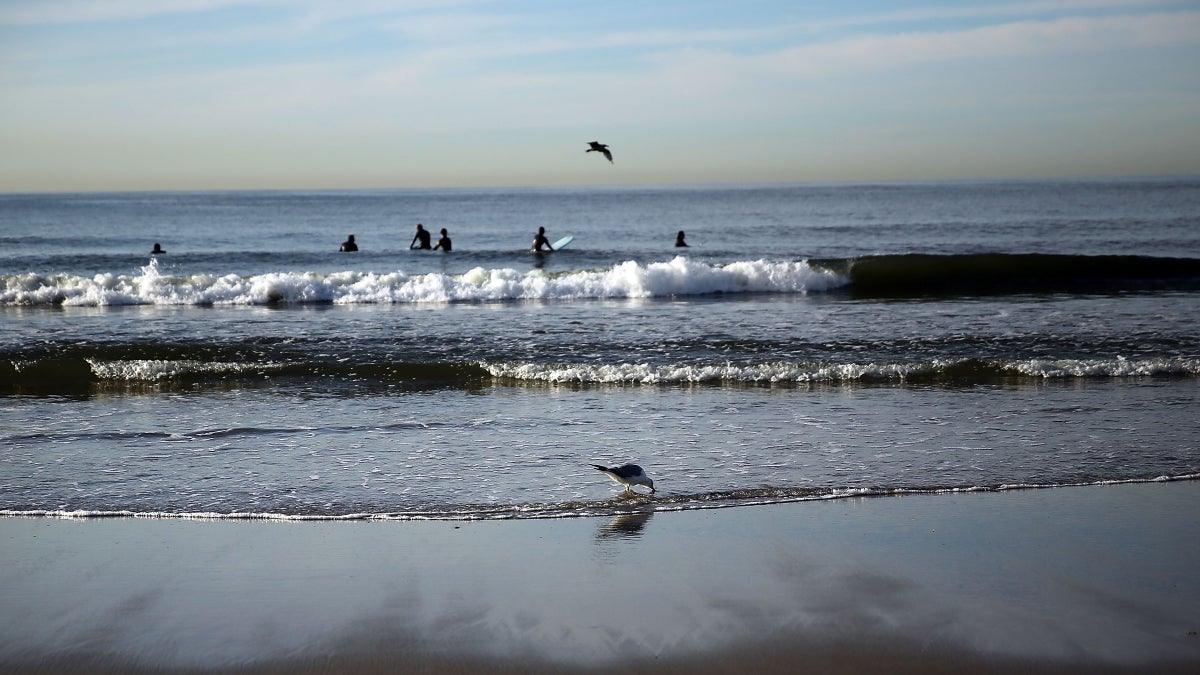 How I Learned to Surf in Middle Age