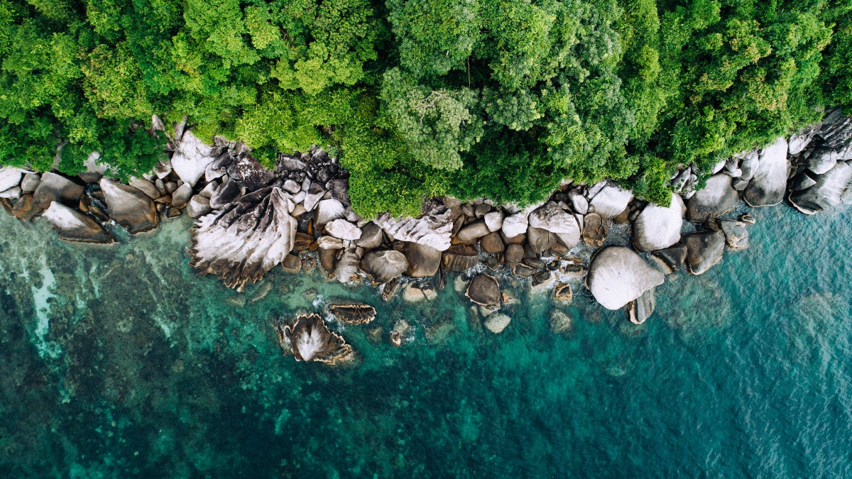 The Ultimate Guide to Being Environmentally Friendly - Outside Online