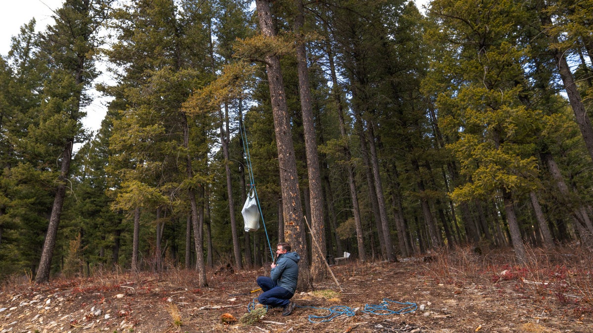 How to Protect Bears from Your Food - Outside Online