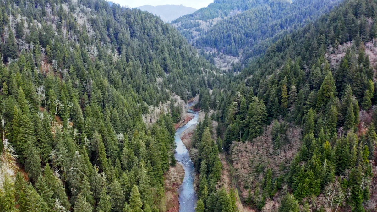 The Future of Oregon's Wild and Scenic River System - Outside Online