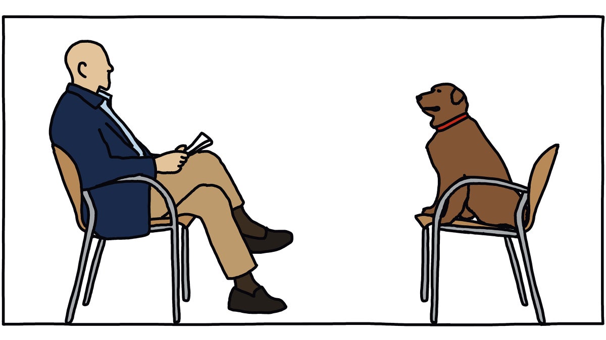 10 Questions I Would Ask My Dog