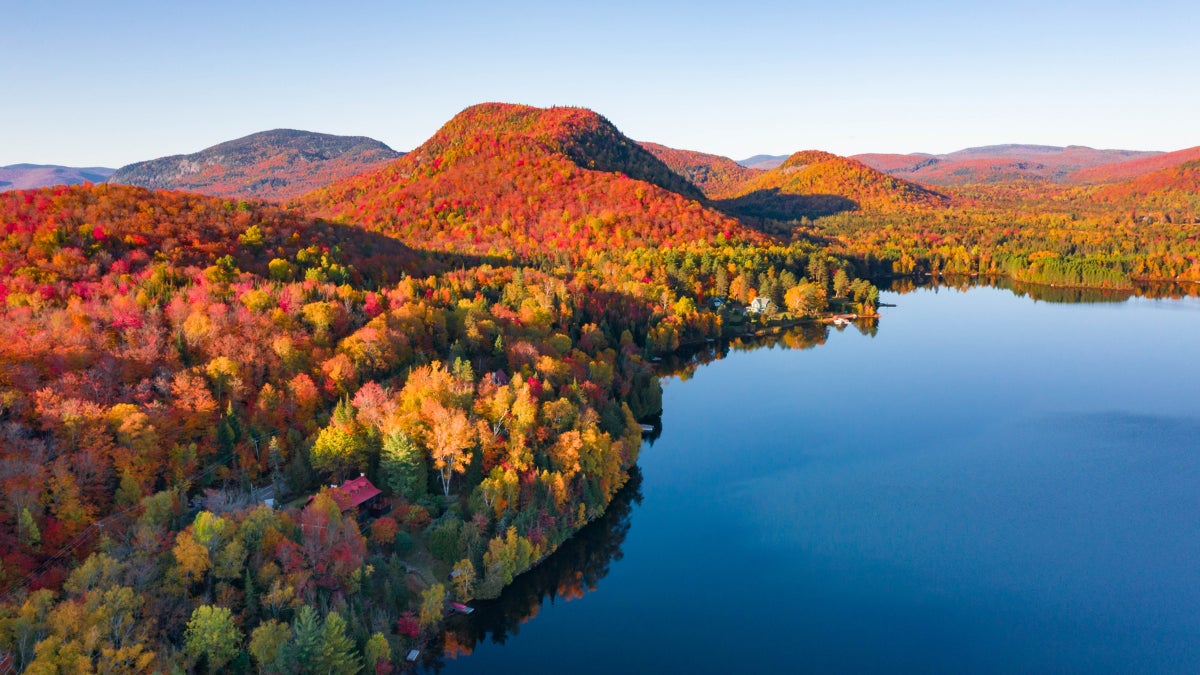 Use This App to Find the Best Fall Foliage