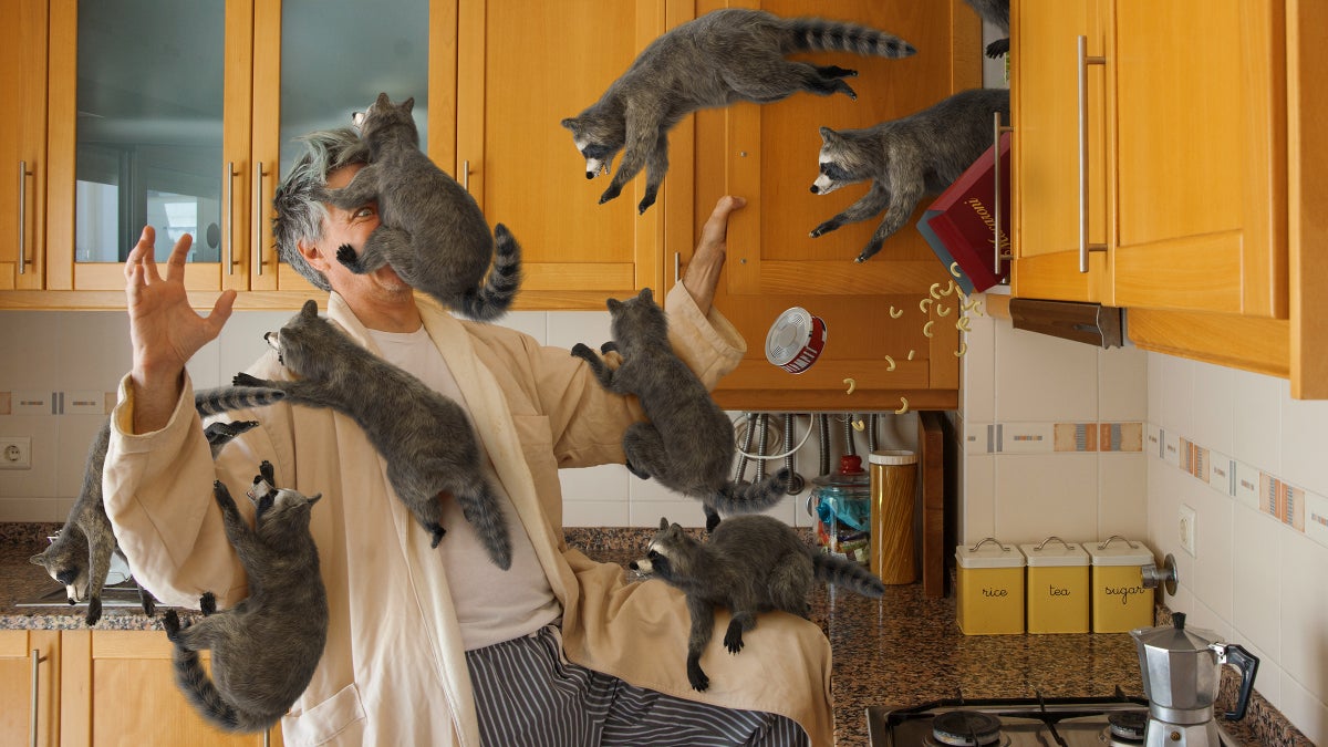 When Wild Animals Misbehave - Outside Online