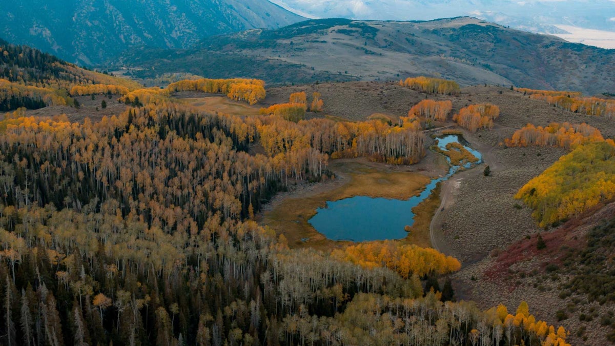 Utah’s Fishlake National Forest Is Magic in the Fall - Outside Online