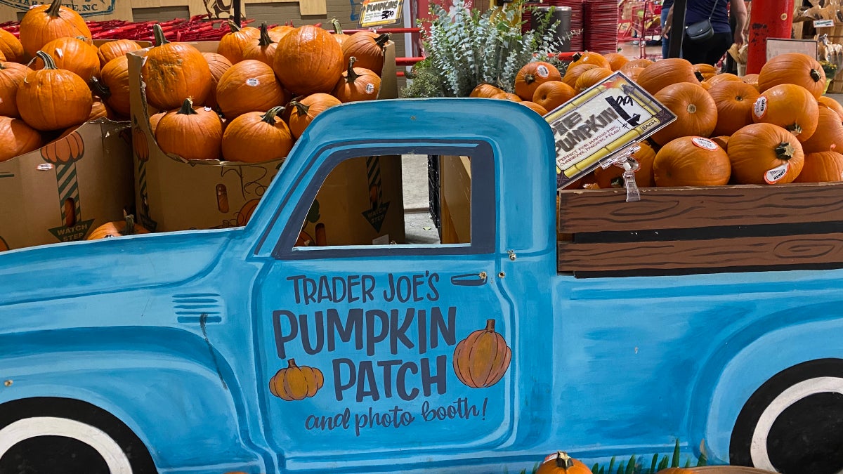 How to Make Your Leaf-Peeping Hike Taste Like Pumpkin Spice