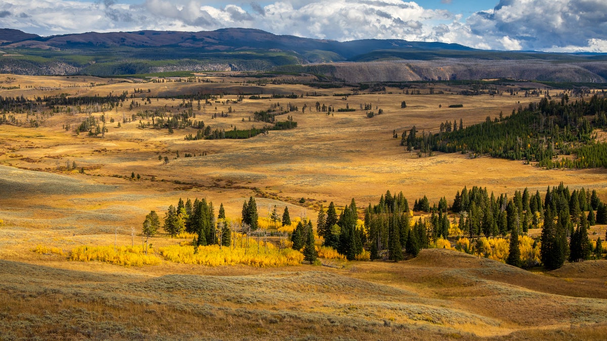 What You Missed: Yellowstone Bans Forrest Fenn Treasure Hunter