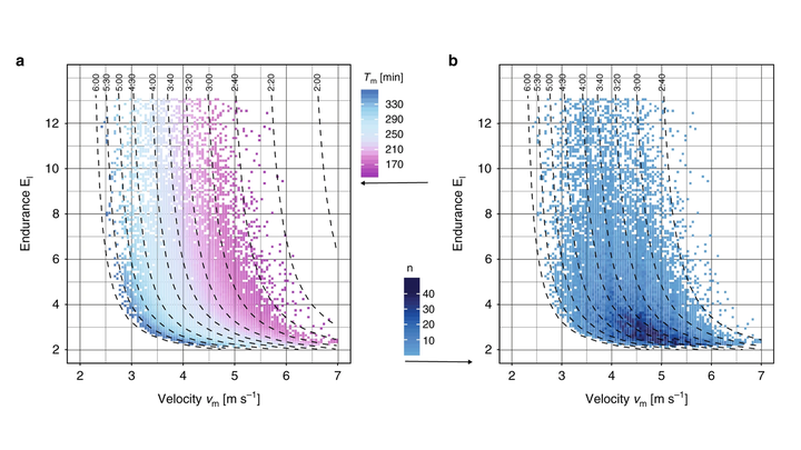New Study Predicts Marathon Performance from Wearable Data