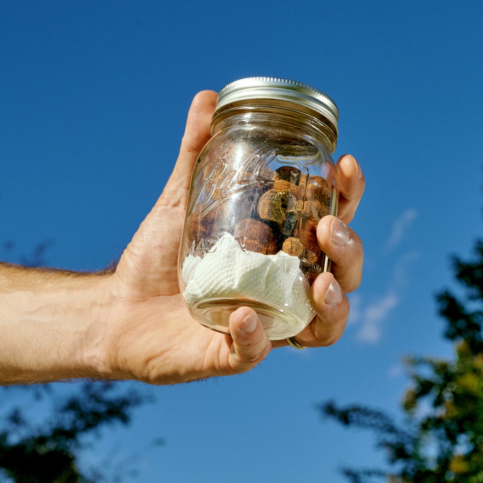 Appalachian Truffles: America's Next Food Craze - Outside Online
