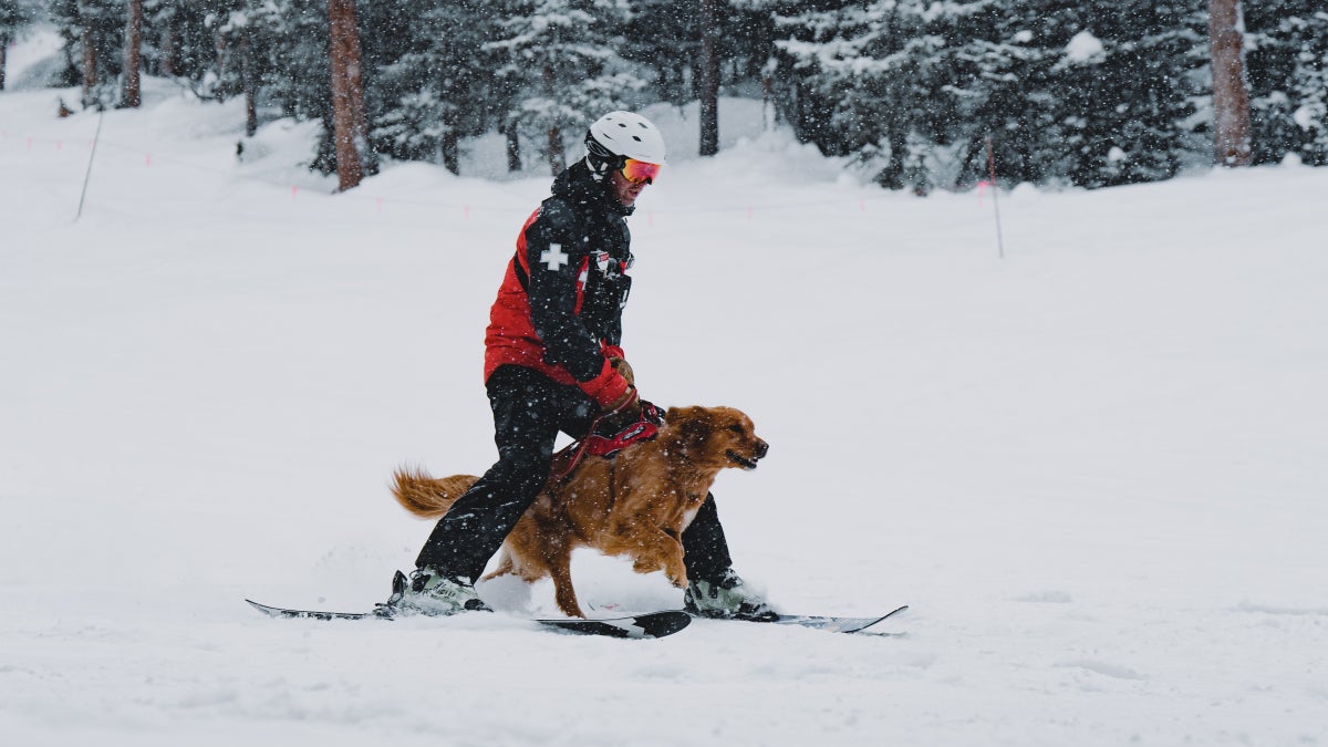 The Love Between This Ski Patroller and His Dog Is Utterly Heartwarming ...