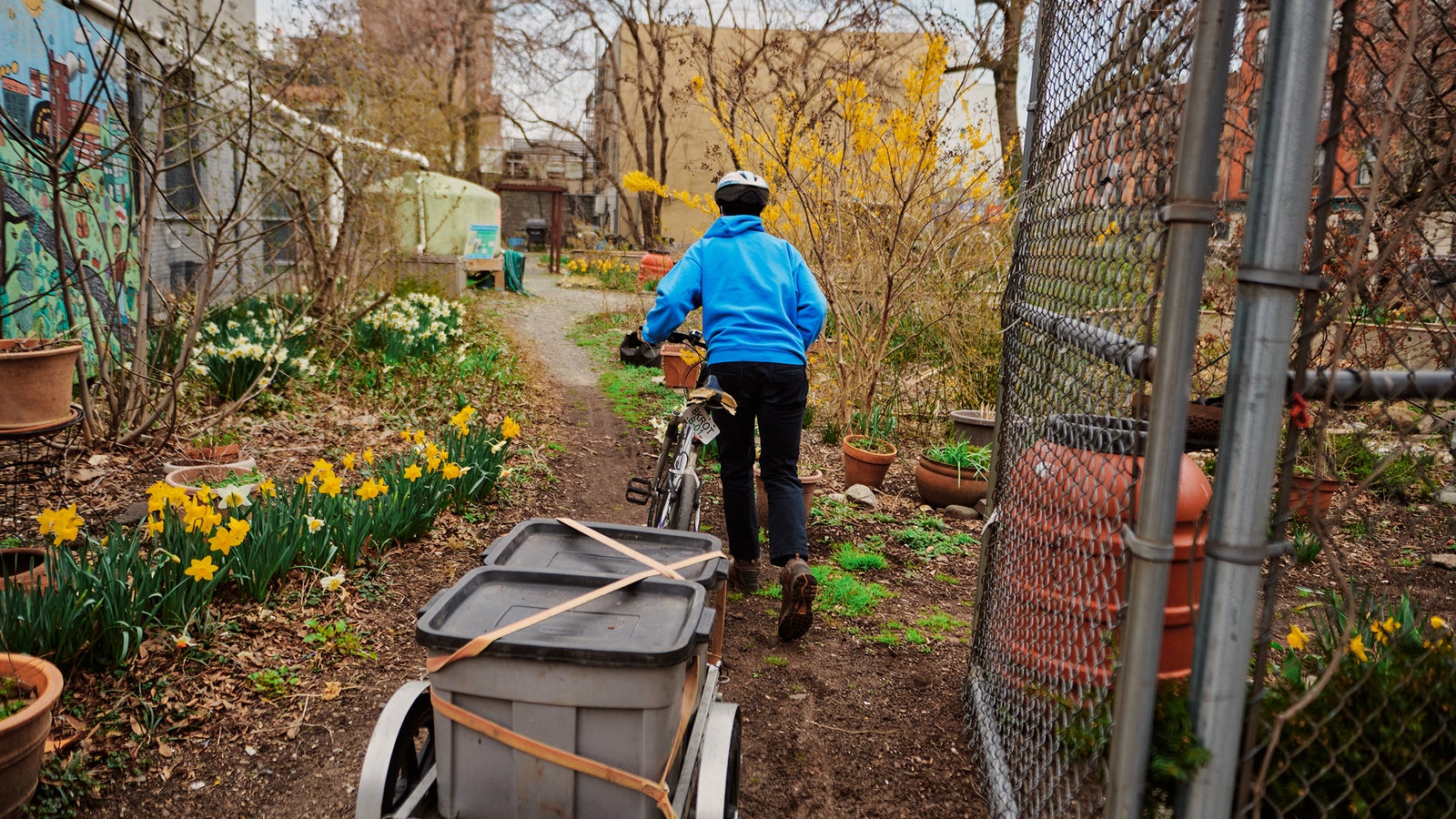 Inside the Battle to Save Compost in New York City