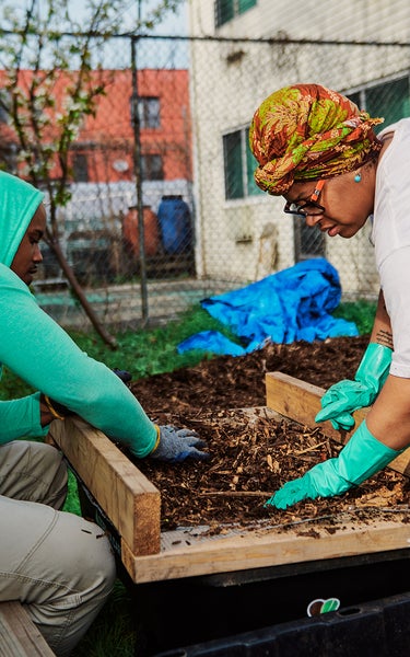 Inside the Battle to Save Compost in New York City