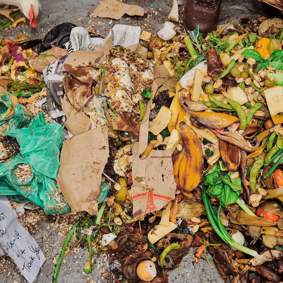Inside the Battle to Save Compost in New York City