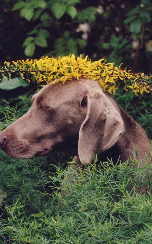 How to Have More Fun Outside