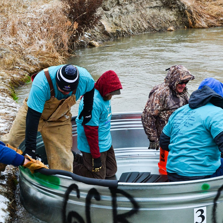 Nebraska Cattle Tanking: the Raucous River Race Where Everybody Wins ...