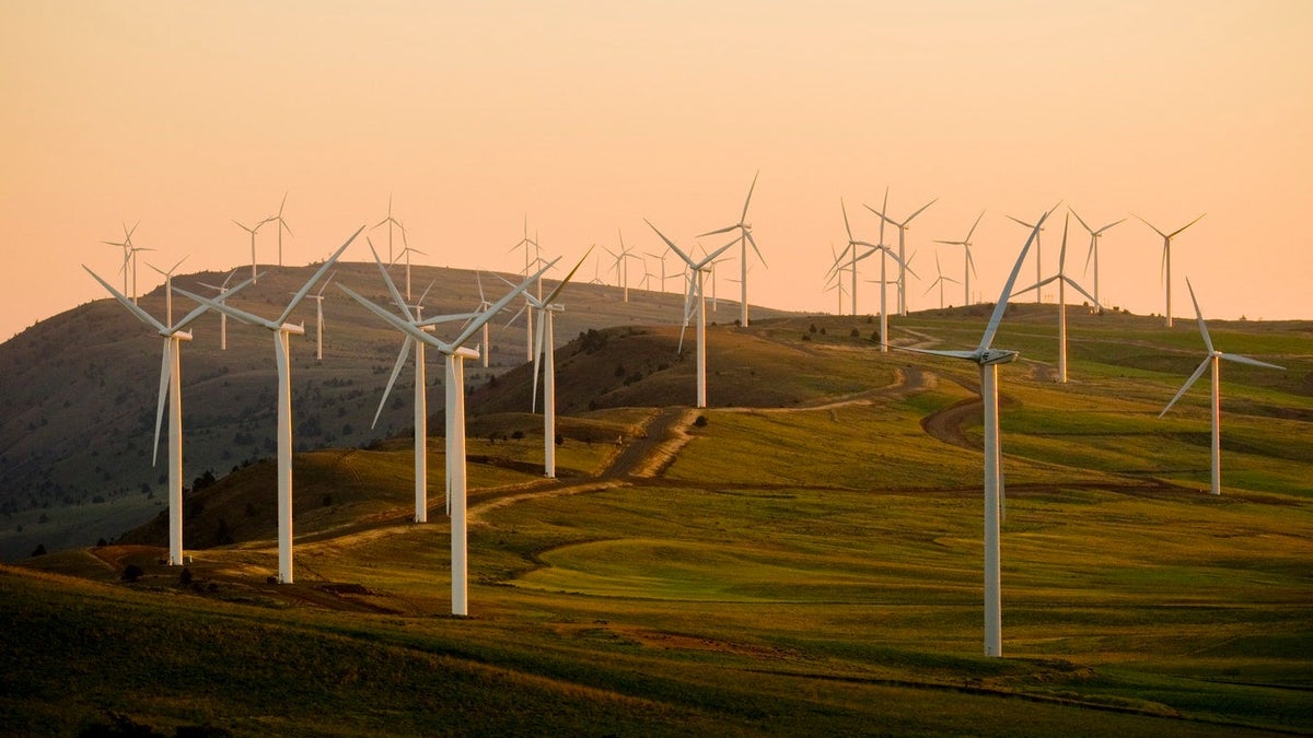 Study: The Greenest States in the U.S.