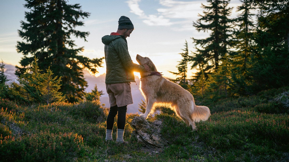 5 Ideas to Keep Your Adventure Dog Active This Summer