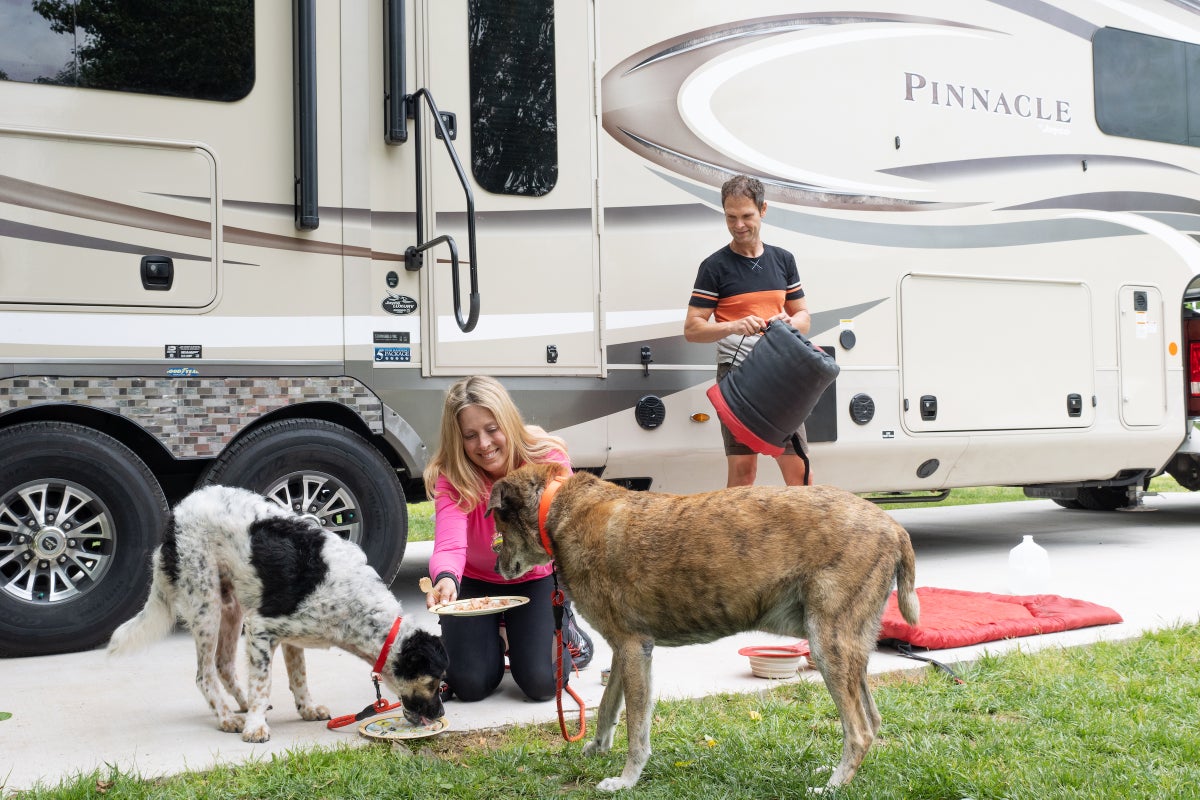 5 Tips to Make RVing Your Dog’s New Favorite Activity