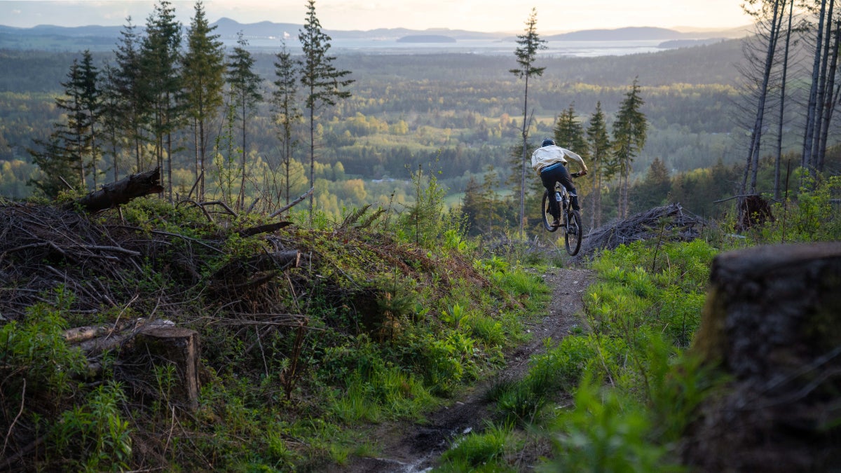 Lush Forests and Endless Trails Make the Pacific Northwest a Mountain ...