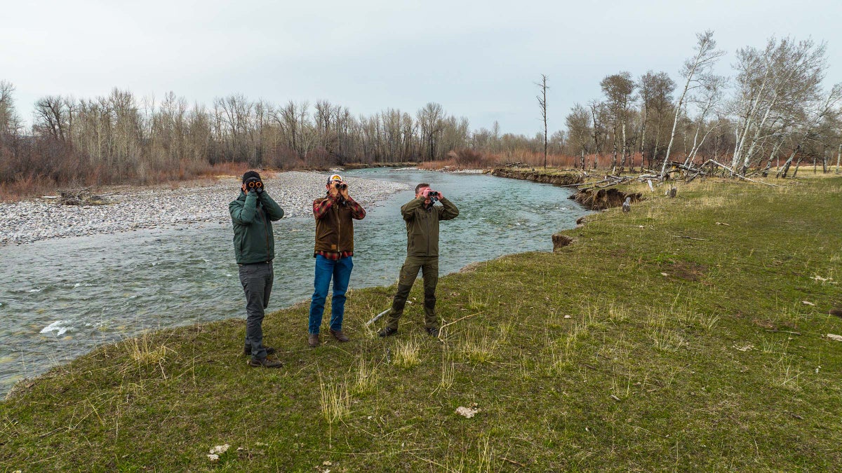 Learn to Bird-Watch - Outside Online