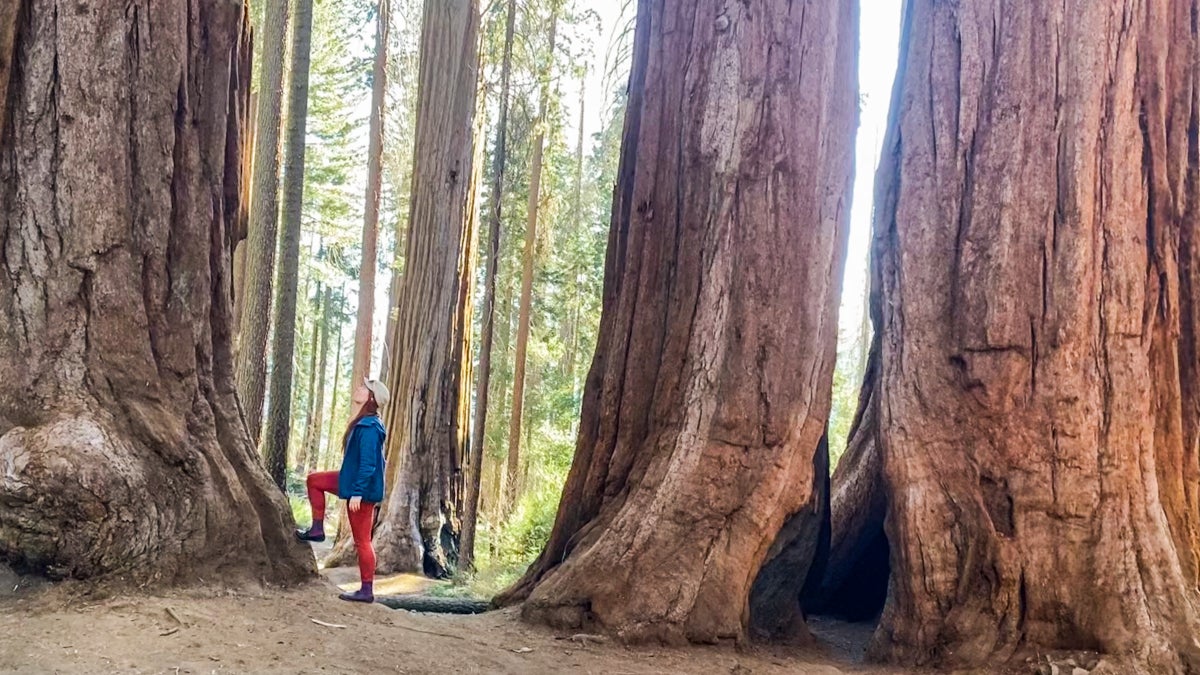 Visiting Sequoia National Park Has Never Felt So Precious