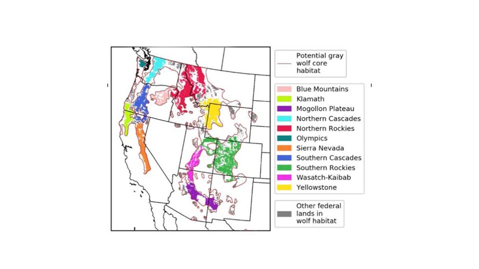 This Is the Perfect Plan to Rewild the American West. There’s Just One ...