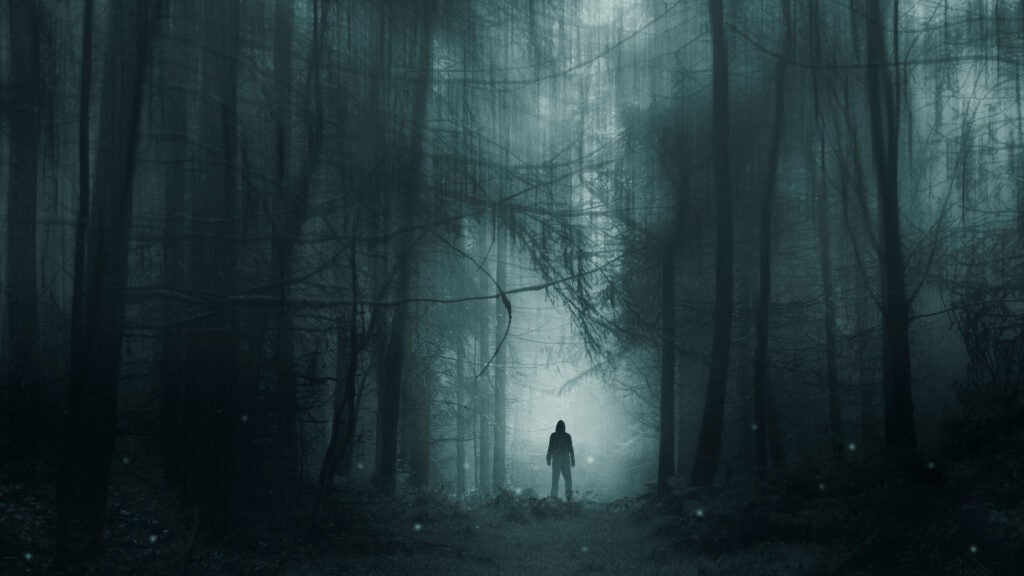 To Hear This Horror Story, You Have to Walk Through a Forest in Sweden To Hear This Horror Story, You Have to Walk Through a Forest in Sweden