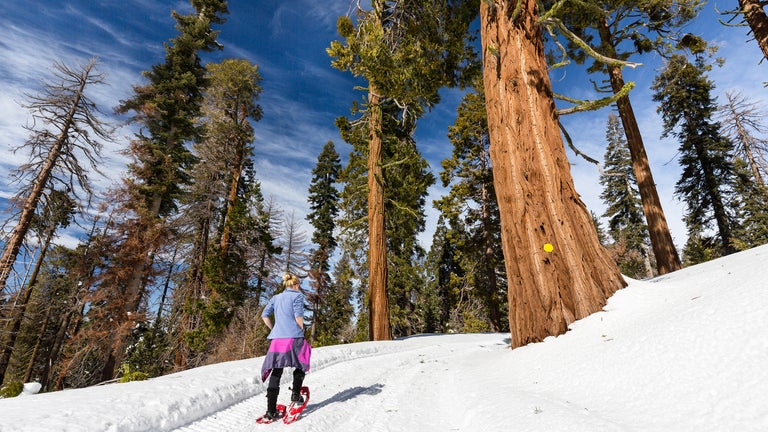 Guide to Sequoia & Kings Canyon National Parks - Outside Online