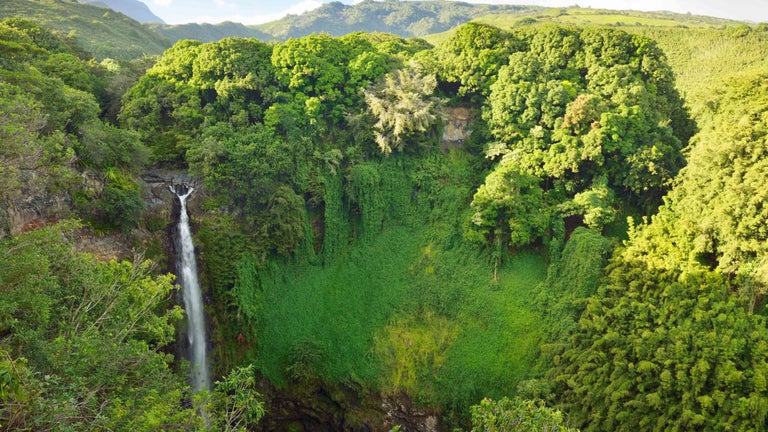 The Ultimate Guide to Haleakala National Park