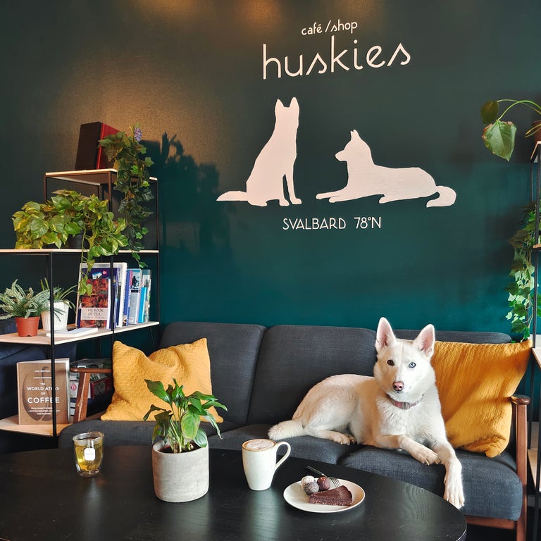You Can Hang Out with Huskies at This Café in the World’s Northernmost Town