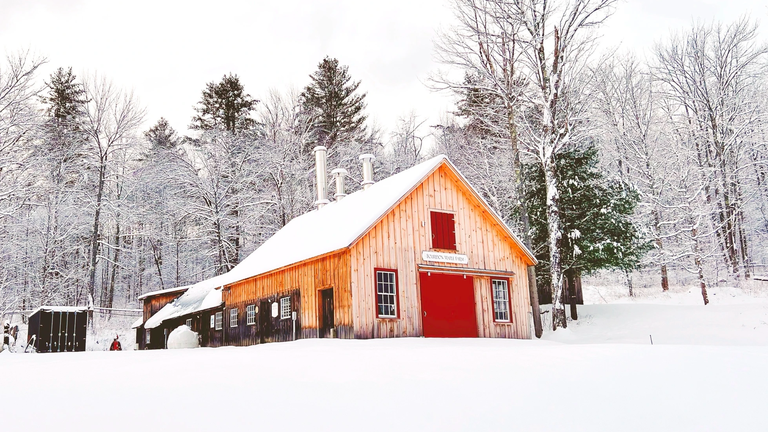 A Sticky Day in the Life of a Vermont Sugar Maker - Outside Online