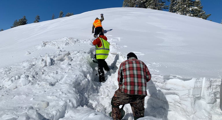 This Plan to Save Yellowstone Bison Involves Shoveling Lots of Snow