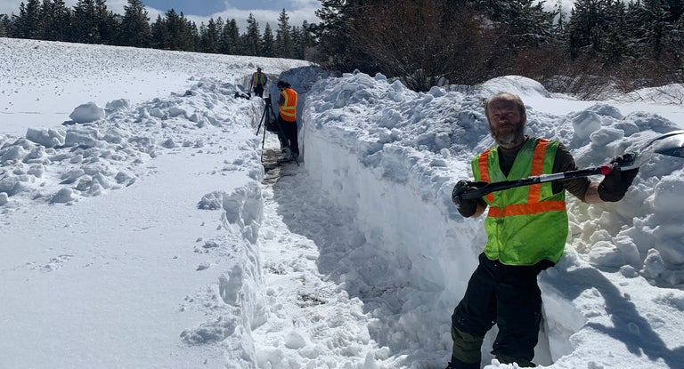 This Plan to Save Yellowstone Bison Involves Shoveling Lots of Snow