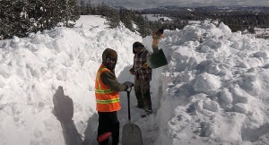 This Plan to Save Yellowstone Bison Involves Shoveling Lots of Snow