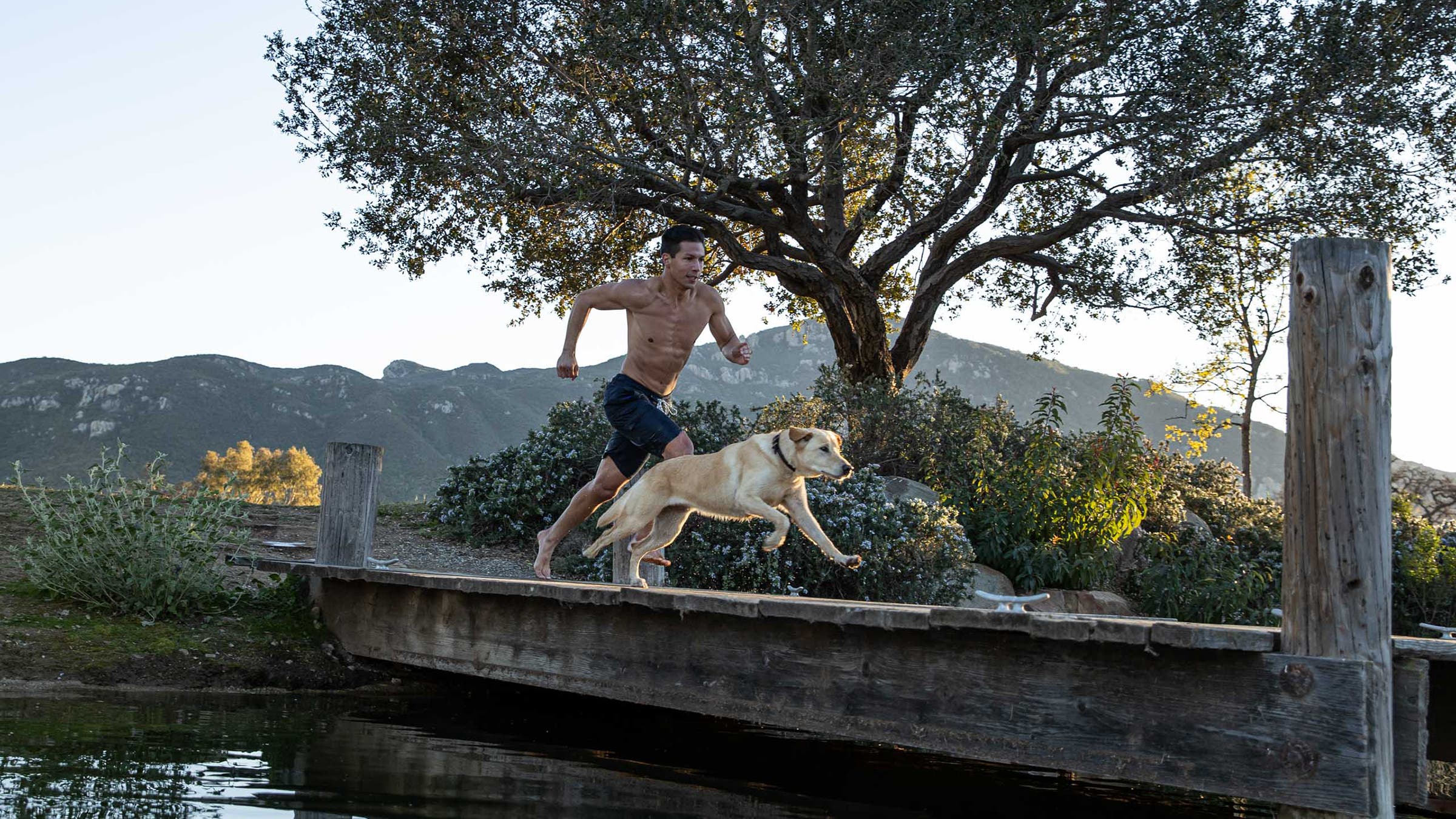 Make This Summer the Season of Water Adventures with Your Dog