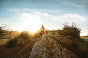 Your Dog Deserves More Hikes
