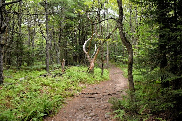 Even the Biggest Cities Have Easy Escapes