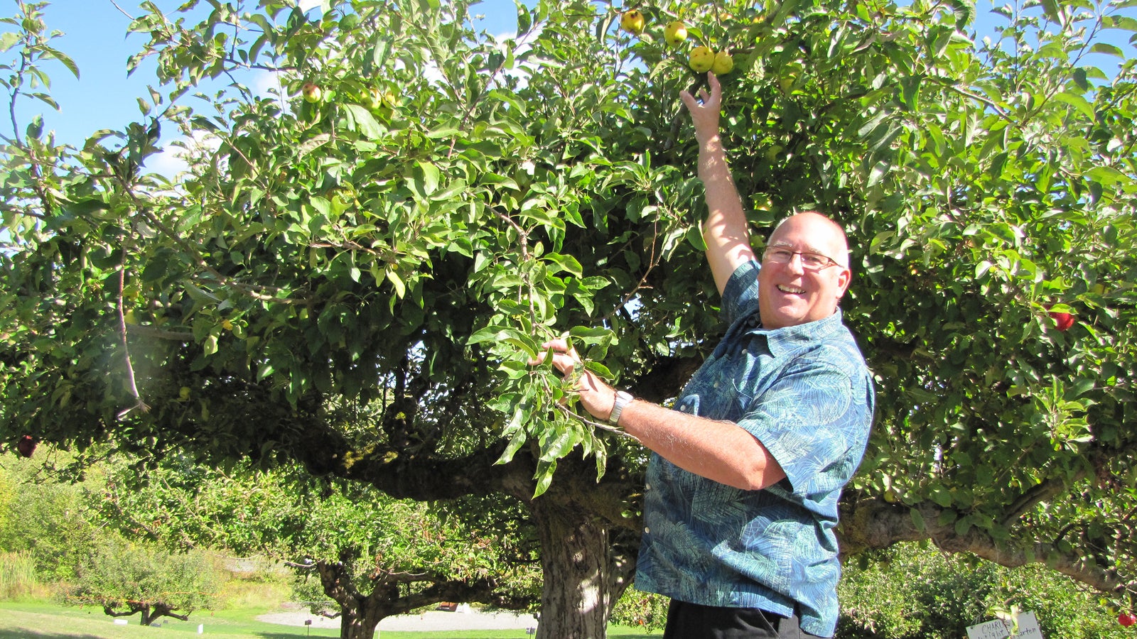 On the Hunt for America’s Forgotten Apples
