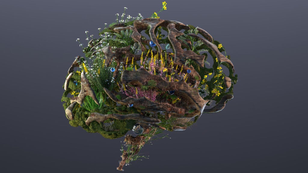 Running and the Mind - Outside Online