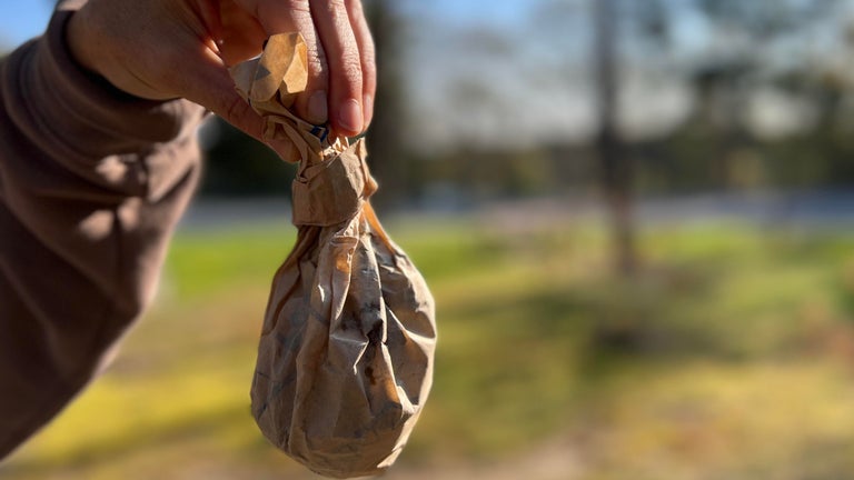 Stop Wasting Money on Biodegradable Dog Poop Bags
