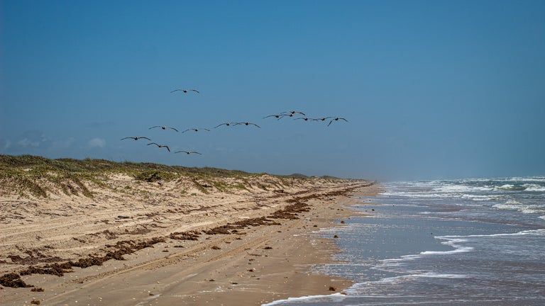 5 Best Places to See the Annular Eclipse- Outside Online