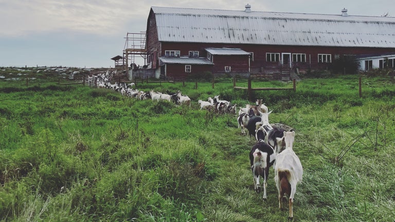 The Most Delicious New England Road Trip