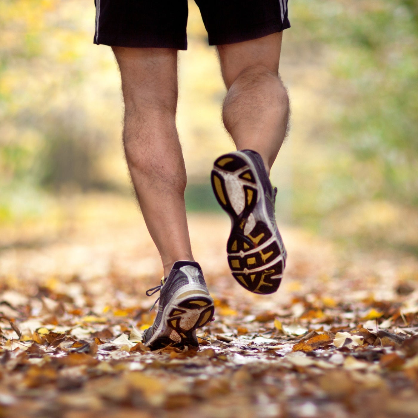 13 November Races Across the Country.